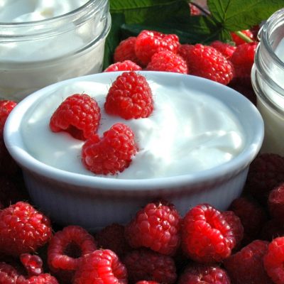 Greek-Style Yogurt – Brod & Taylor Canada